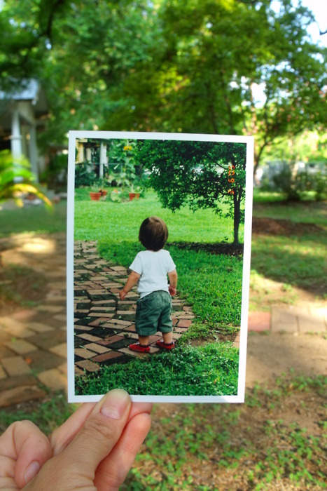 Dear Photographs ไอเดียถ่ายรูปแบบรำลึกความหลัง